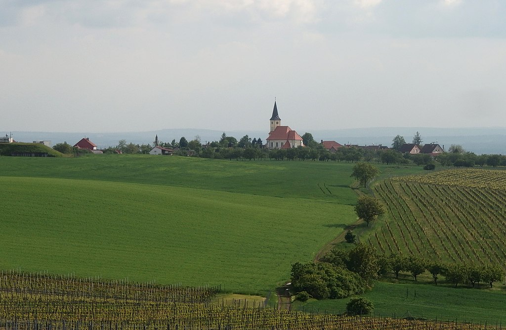 Turistická stezka vinařskou oblastí Kobylí | Naučné-stezky.cz