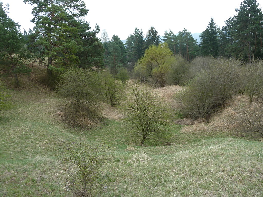 Naučná stezka ČSOP Divoky | Naučné-stezky.cz